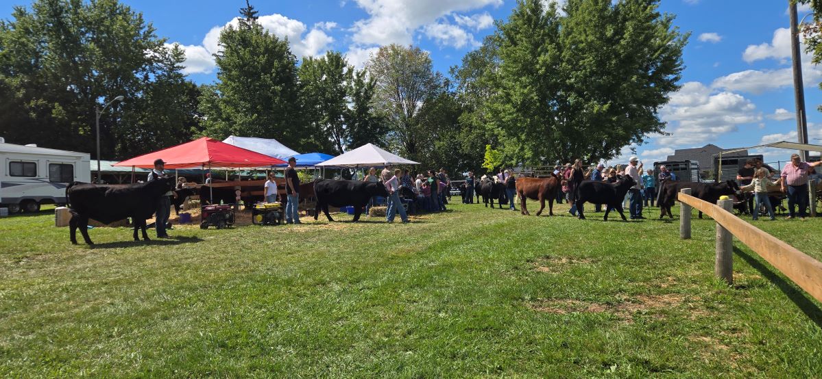 End of summer tradition lives on at 172nd Port Perry Fair
