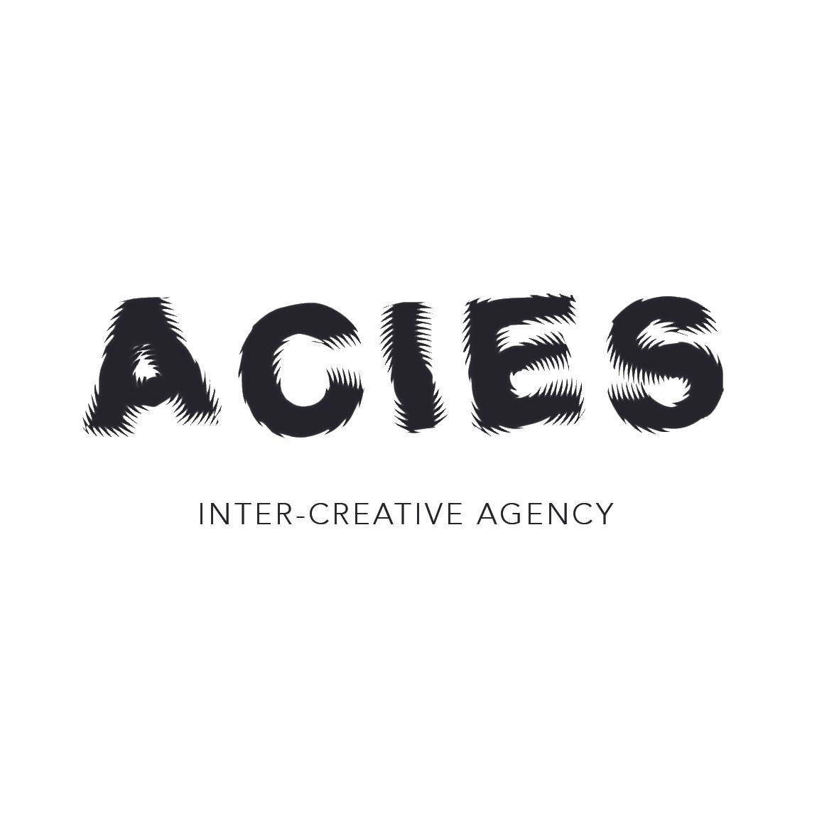 ACIES The Design Agency For Brands That Are Ready to Grow - Design