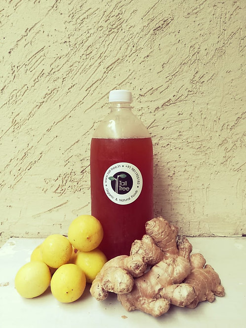 Kombucha | tall-tree