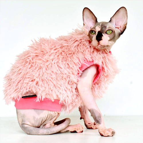 Pink Long Hair Double-sided Sherpa Fleece - Sphynx Cat Top | SphynxFashion