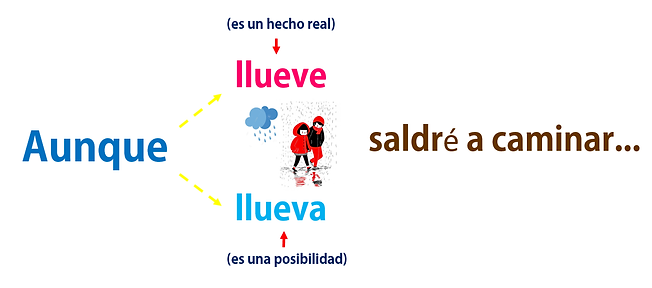 TEMA 1 LIBRO 5 | misitiodeespanol