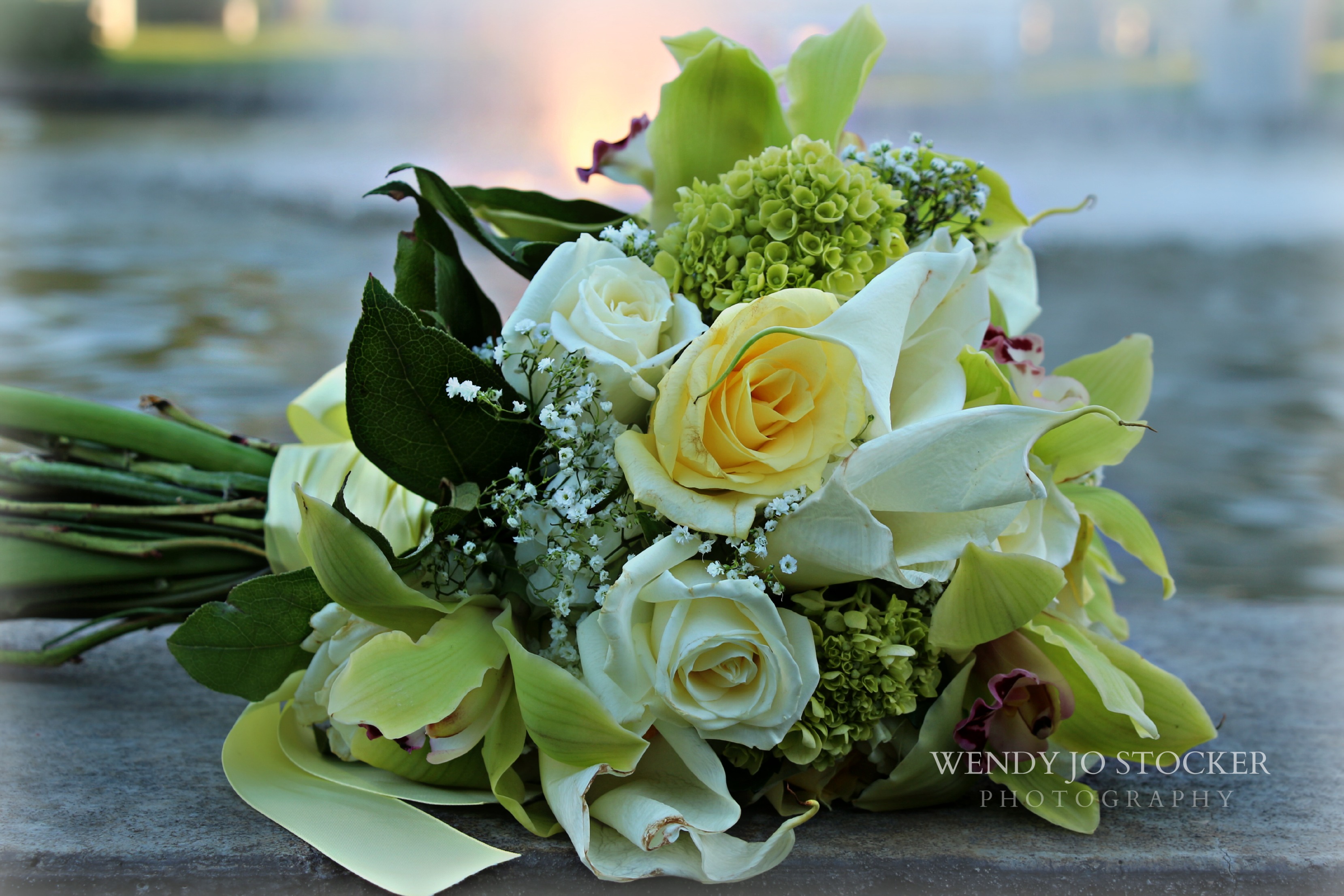 Wendy Jo Stocker Photography