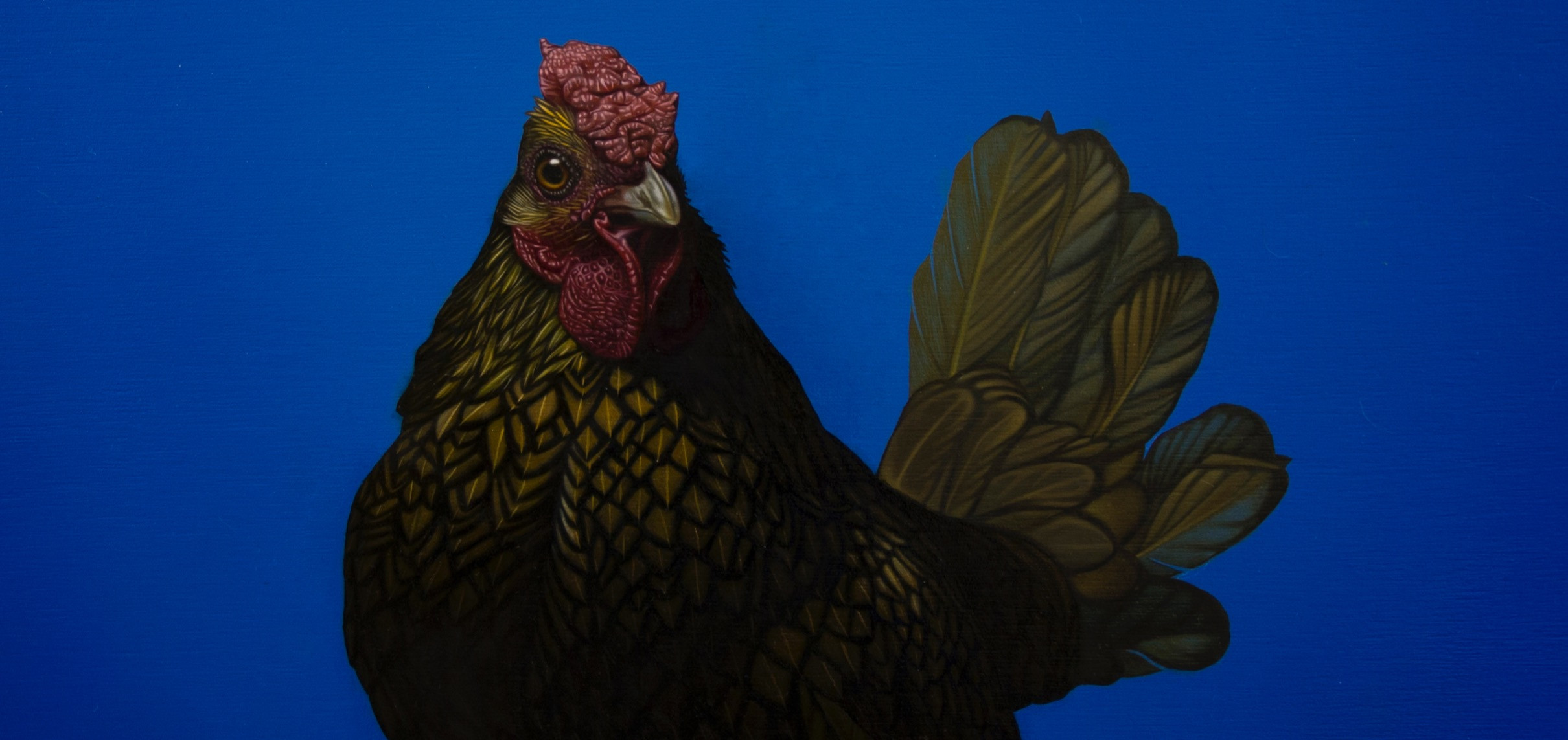 Sebastian Galloway | Contact