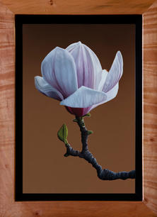 Paintings on copper | Sebastian Galloway