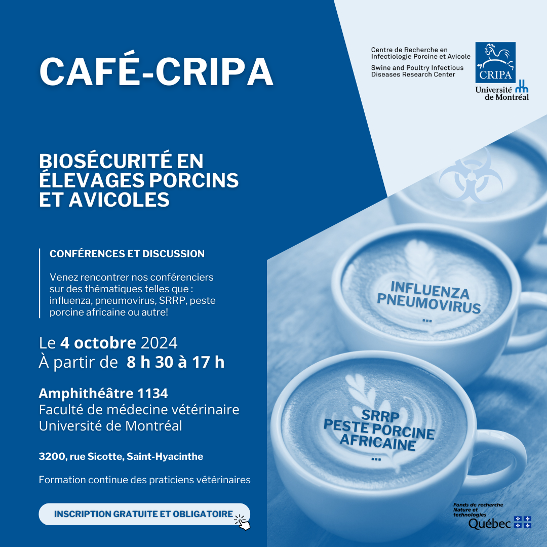 Café-CRIPA : Biosécurité dans les élevages porcins et aviaires | CRIPA