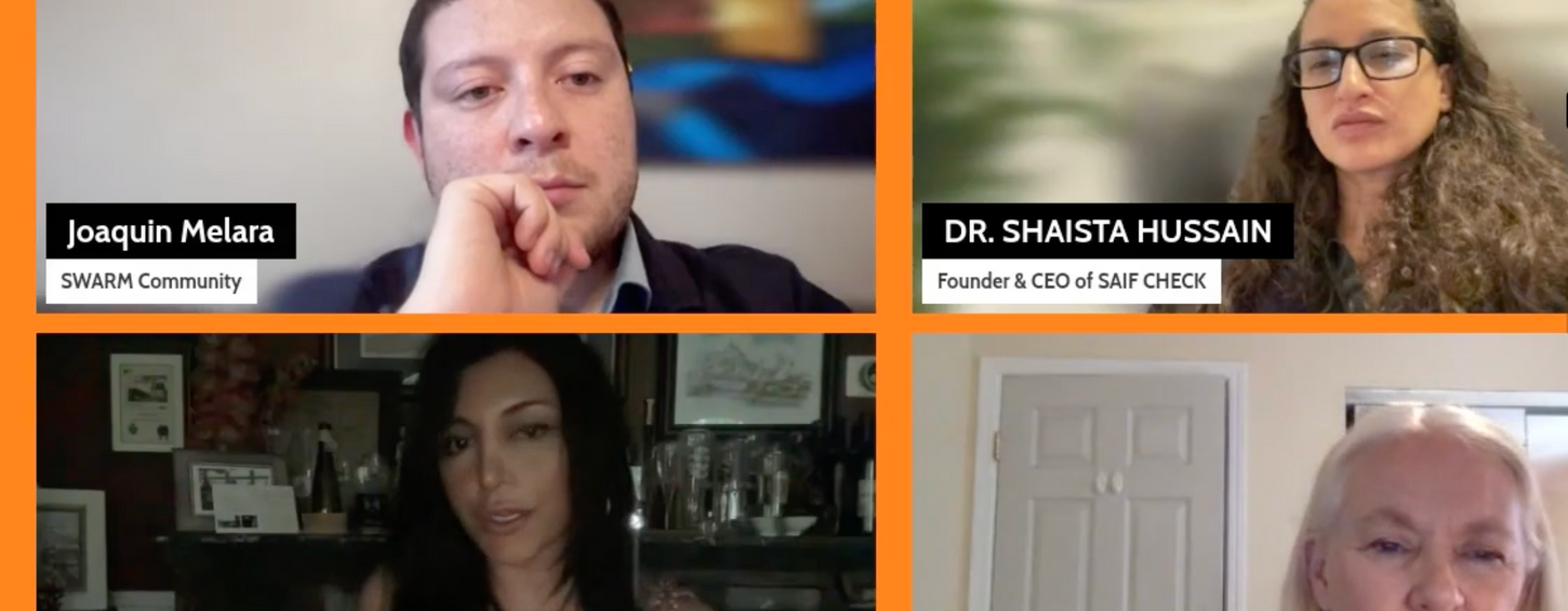 SAIF CHECK | AI RISK ASSESSMENT