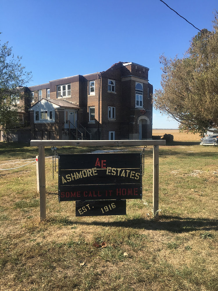 Ashmore Estates, daylight investigation