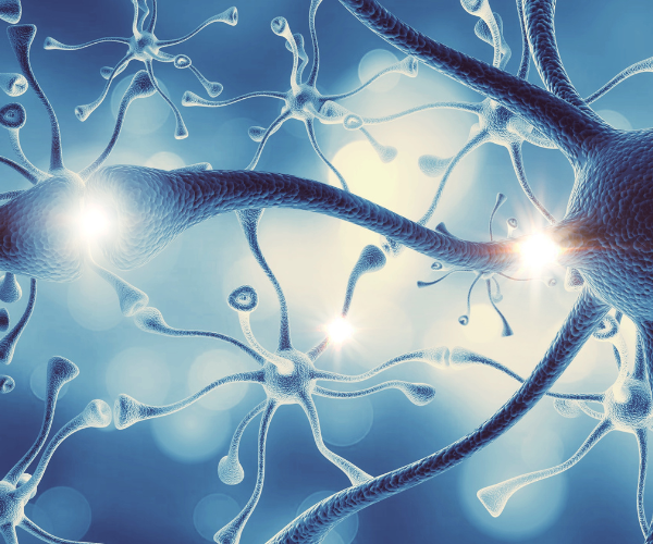 How Circadian Rhythms Affect Low Back Pain