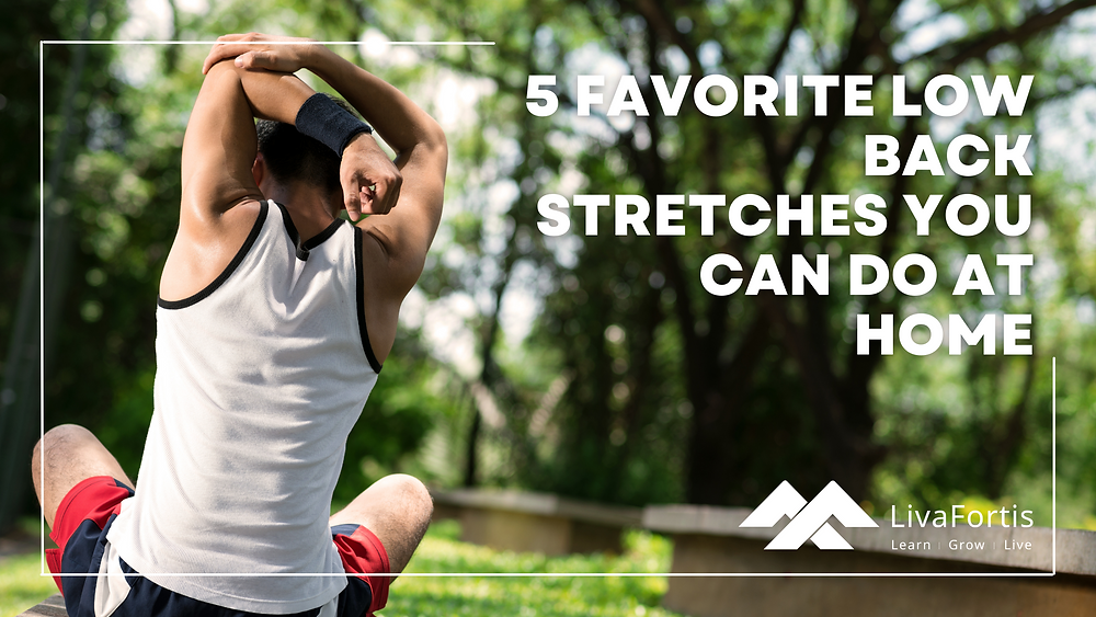 5 Favorite Low Back Stretches You Can Do At Home
