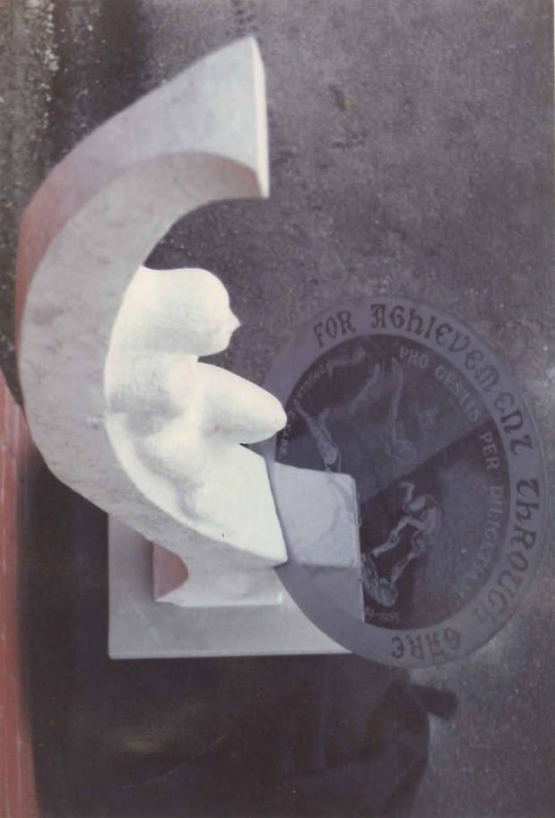 The Swim | Stephen Hines