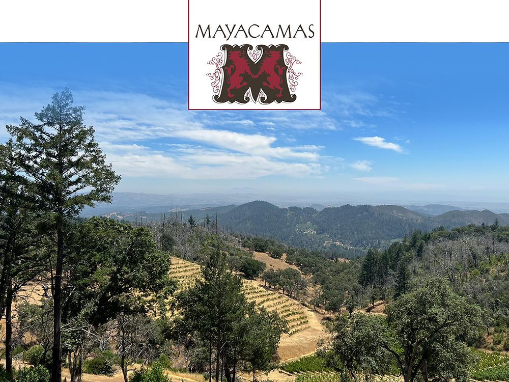 The Rising Phoenix: Mayacamas Winery