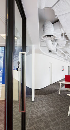 The Walt Disney Office