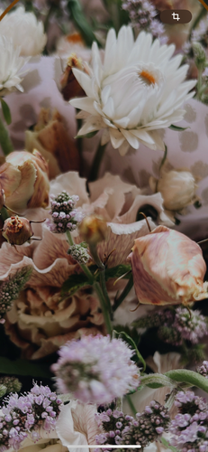 All Products | floranum