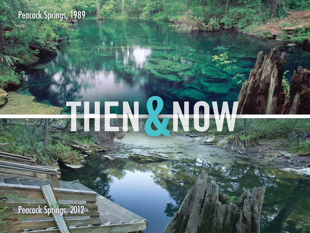 Florida's Springs, Then & Now Photo Series