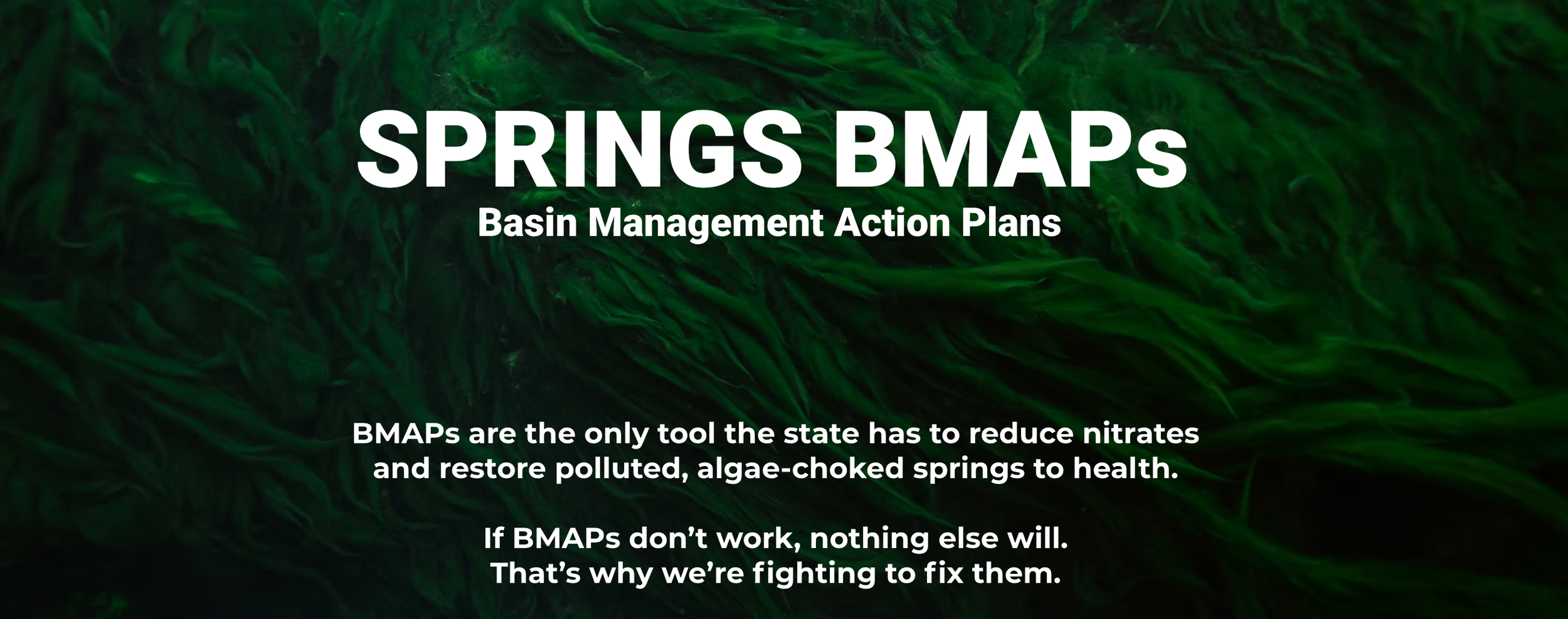 Springs BMAPs | Florida Springs Council