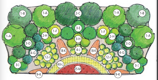 Free Native Plant Garden Plans!