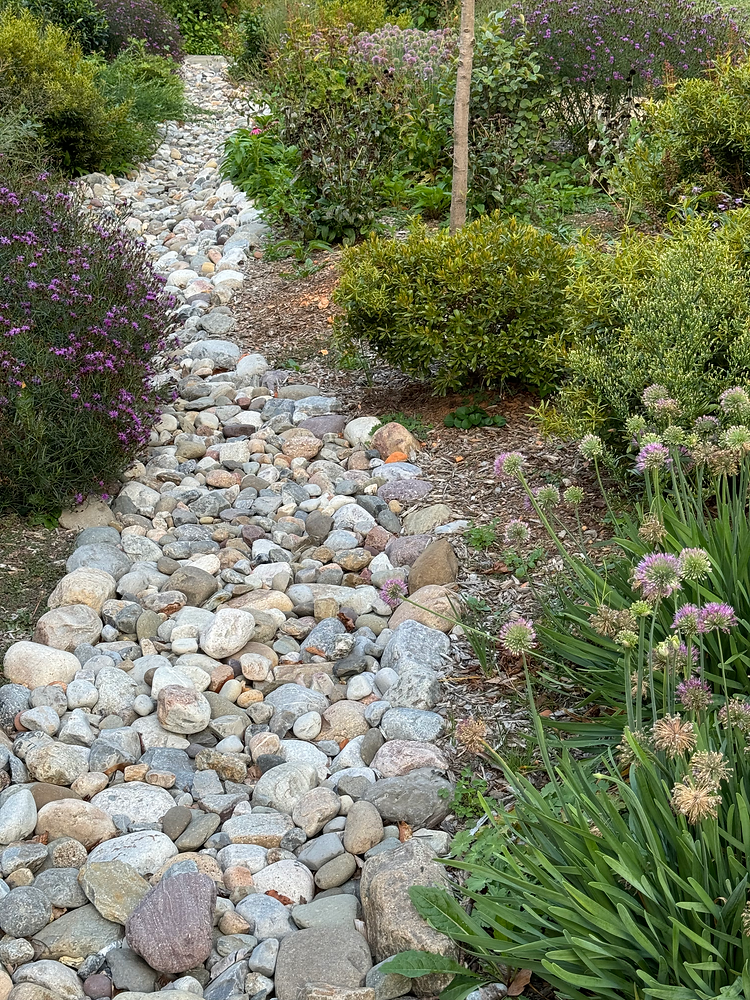 Dry Stream Bed: Winter Garden Interest Flows