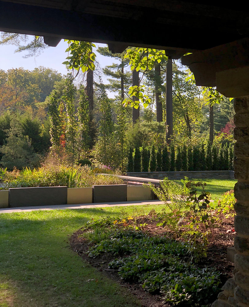 Best Native Plant Gardens To Visit: Stoneleigh, A Natural Garden