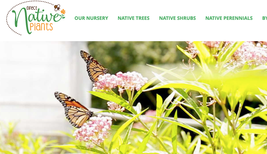 Native Plants: A Plug for Plugs & New Mail Order Nursery