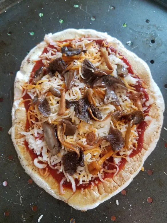 Puffball Mushroom Pizza Recipe