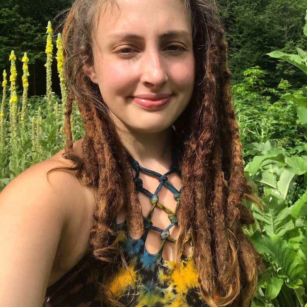 Shylo Arraignment II