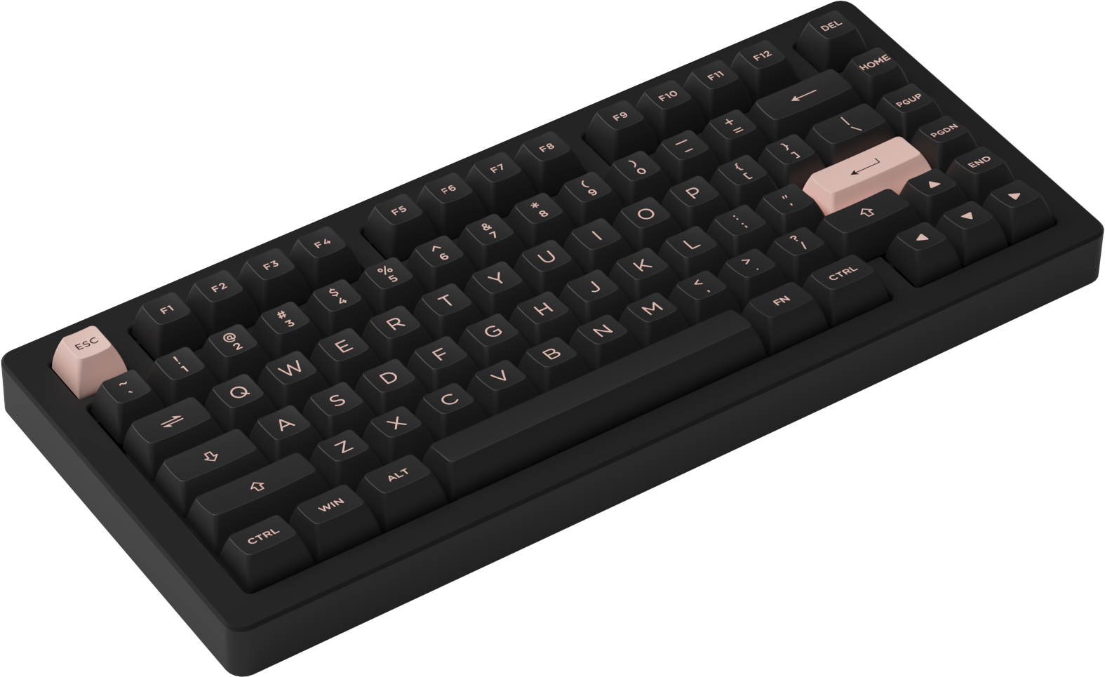 ACR Pro S 75 Preto