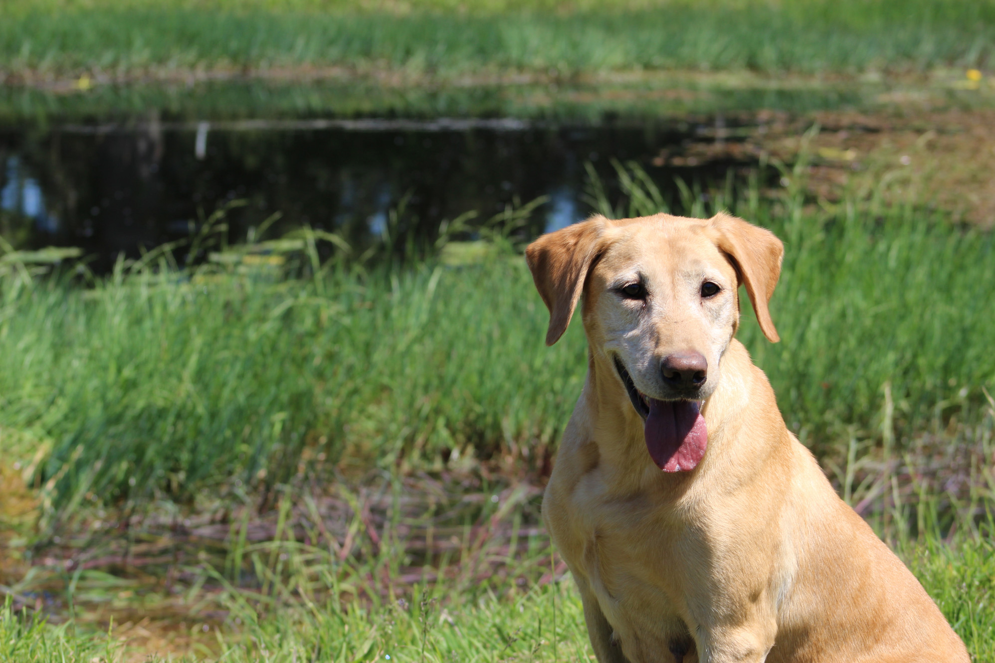 Contact Us | Rocking "M" Labs