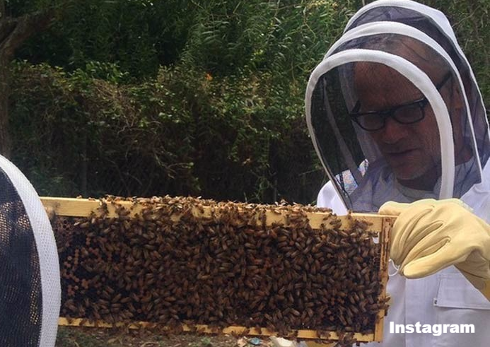 5 Celebrity Backyard Beekeepers