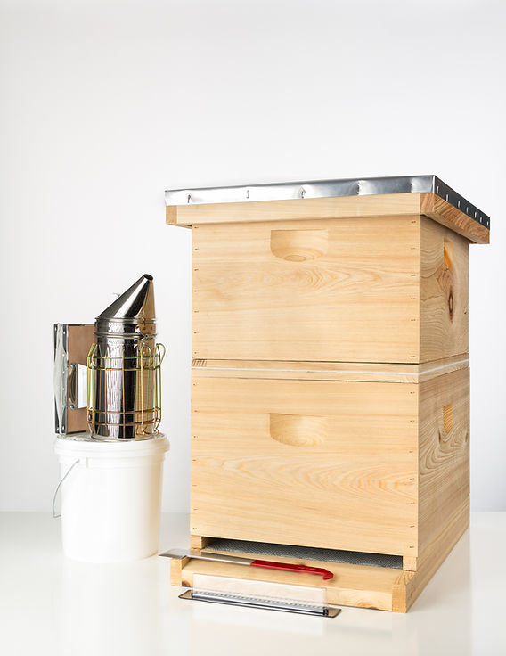 inside a beehive box