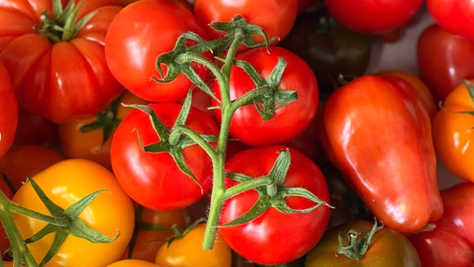 Shop | Loddington Farm | Regenerative Farming in Kent