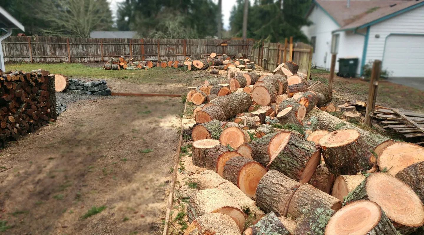 Olympia Tree Service, Tree Trimming and Tree Removal