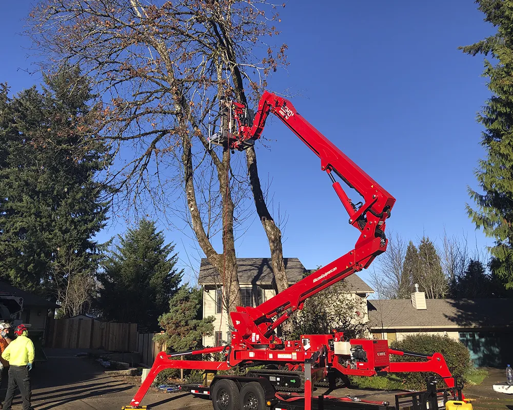 Olympia Tree Service, Tree Trimming and Tree Removal