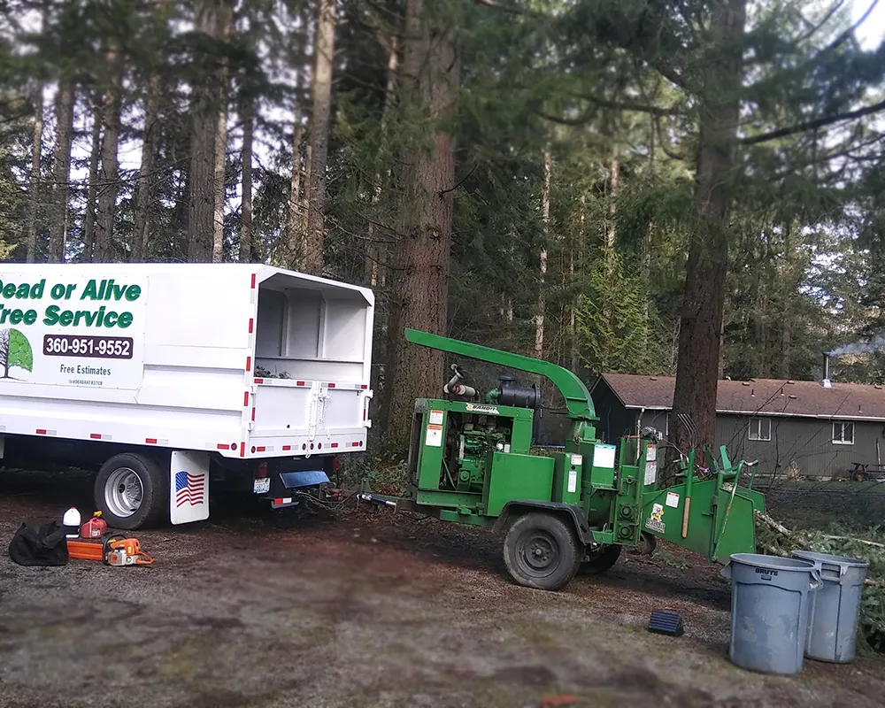 Olympia Tree Service, Tree Trimming and Tree Removal