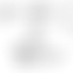 Insights | Ilion Capital