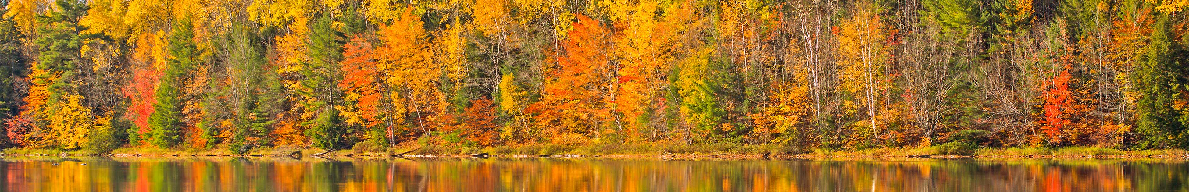 Gerlach Nature Photography Fall Color Workshop
