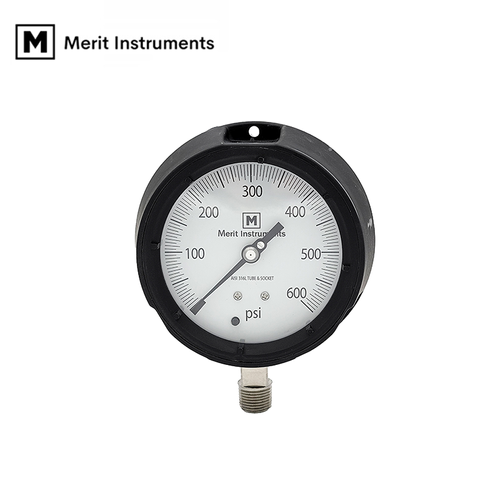 PPS Series Process Gauge | Merit Instruments