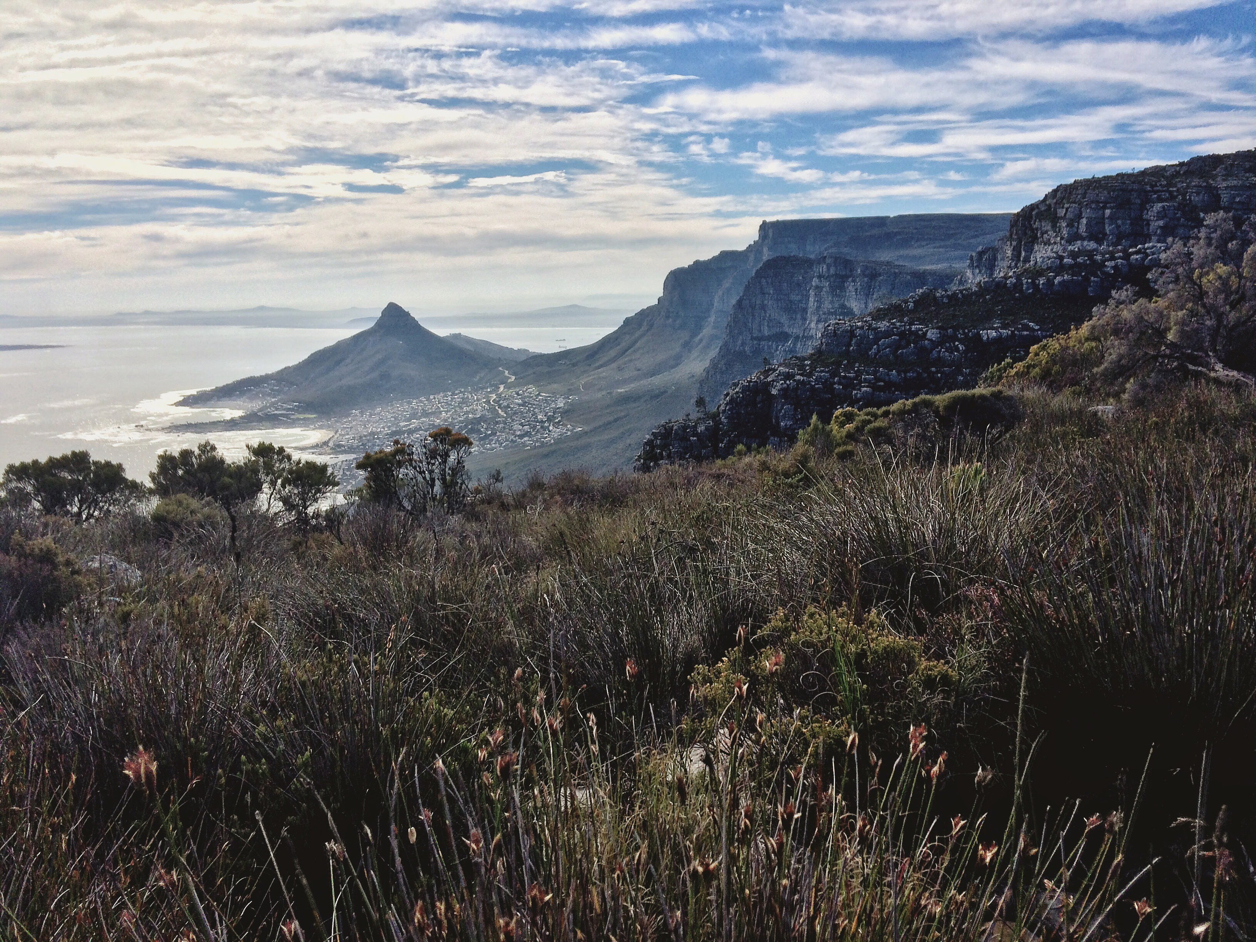 Table Mountain National Park | Hiking Route Maps | Forge
