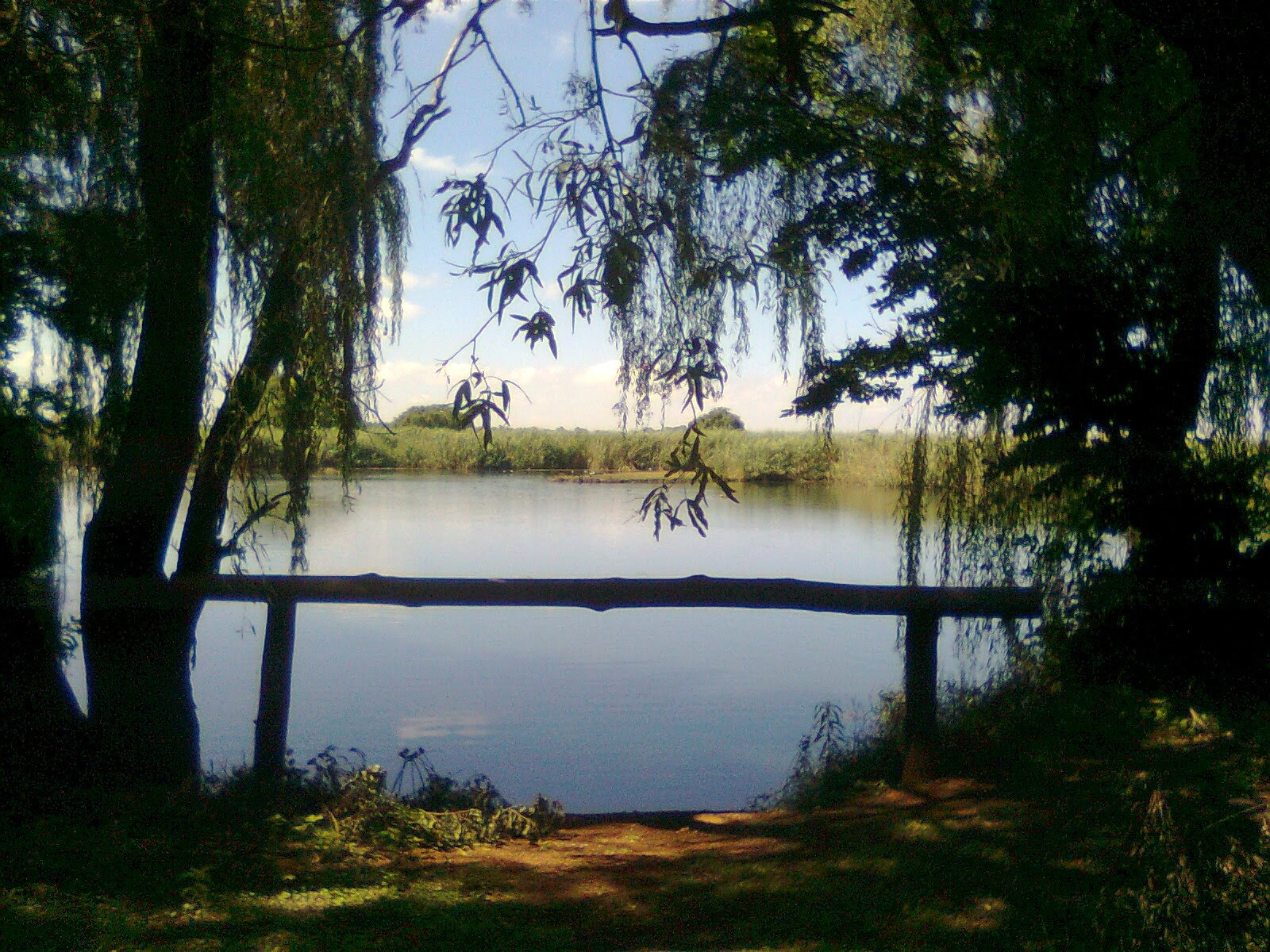 Marievale Bird Sanctuary | Digital Map and Hiking Info | Forge