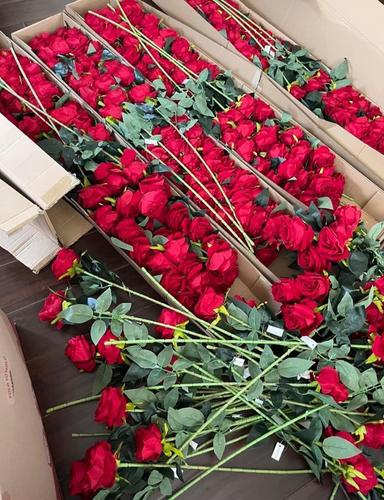 Medium Velvet Roses- 60Count | Exquisite