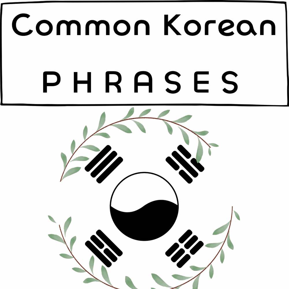 Common Korean Phrases For Beginners | list of beginner korean phrases