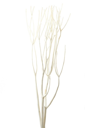 Mitsumata | TVI Imports, LLC.