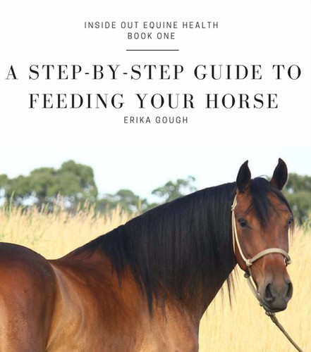 A step-by-step guide to feeding your horse | insideoutequine