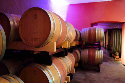 tobias wein.gut. | Weingut im Rheintal