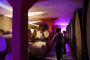 tobias wein.gut. | Weingut im Rheintal