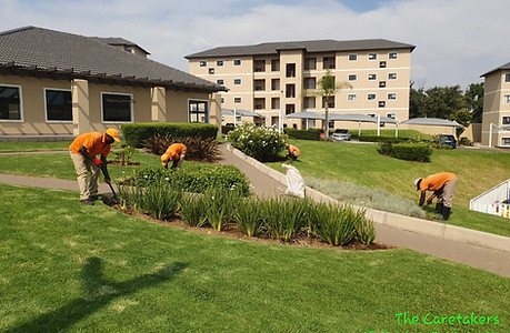 Smart Care Solutions | The Caretakers