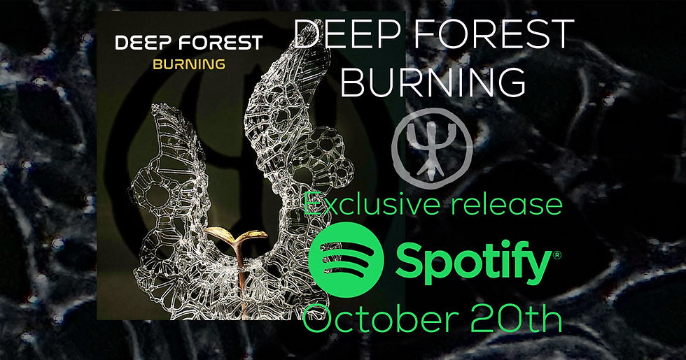 DEEP FOREST - BURNING