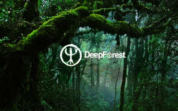 Deep Forest - Alchetron, The Free Social Encyclopedia