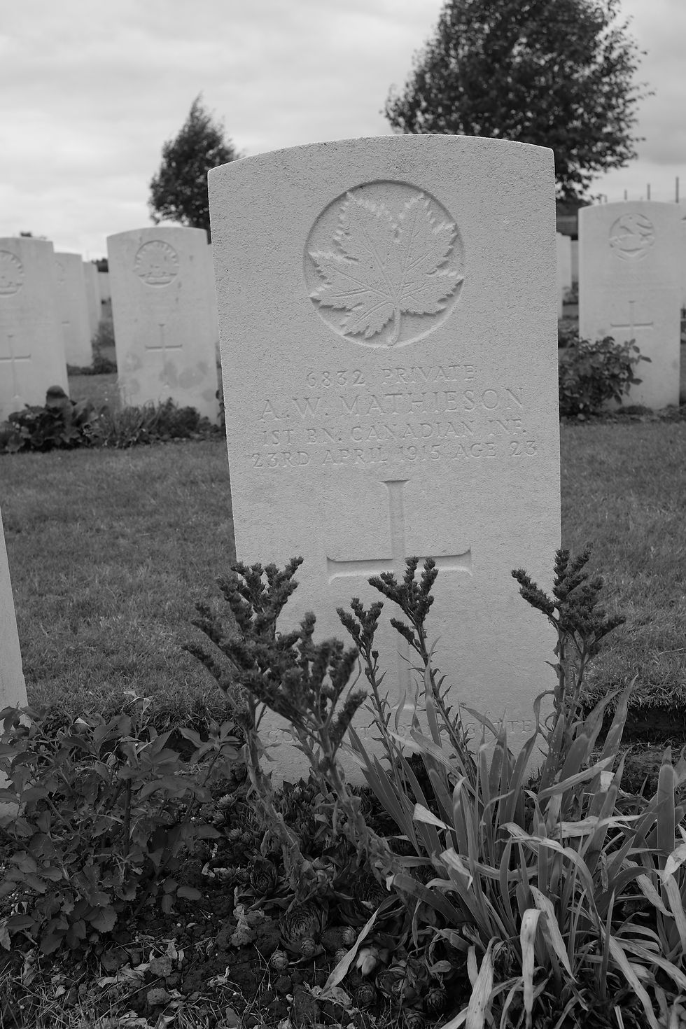 Falkirk War Memorial Private Alexander Wardrope Mathieson, CWGC, Ypres