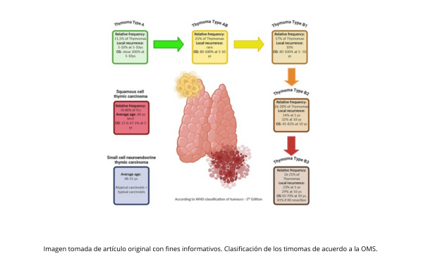 Cirugía, quimioterapia e inmunoterapia transforman el abordaje de los ...
