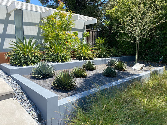Numa Gardens | Drought Tolerant and Outdoor Living Contractor | CA